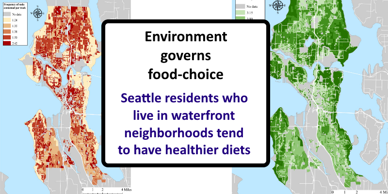 Location-driven food choice: Seattle Study - Prachodayat